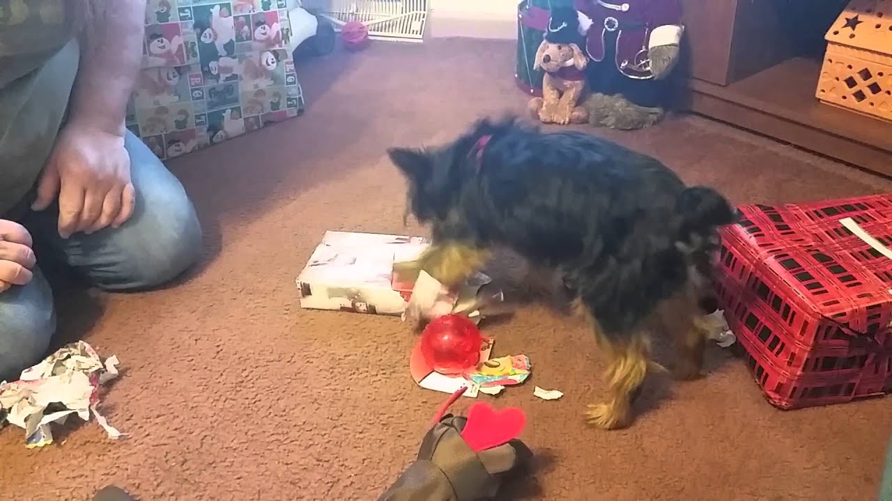 Hunter SIevert - YouTube