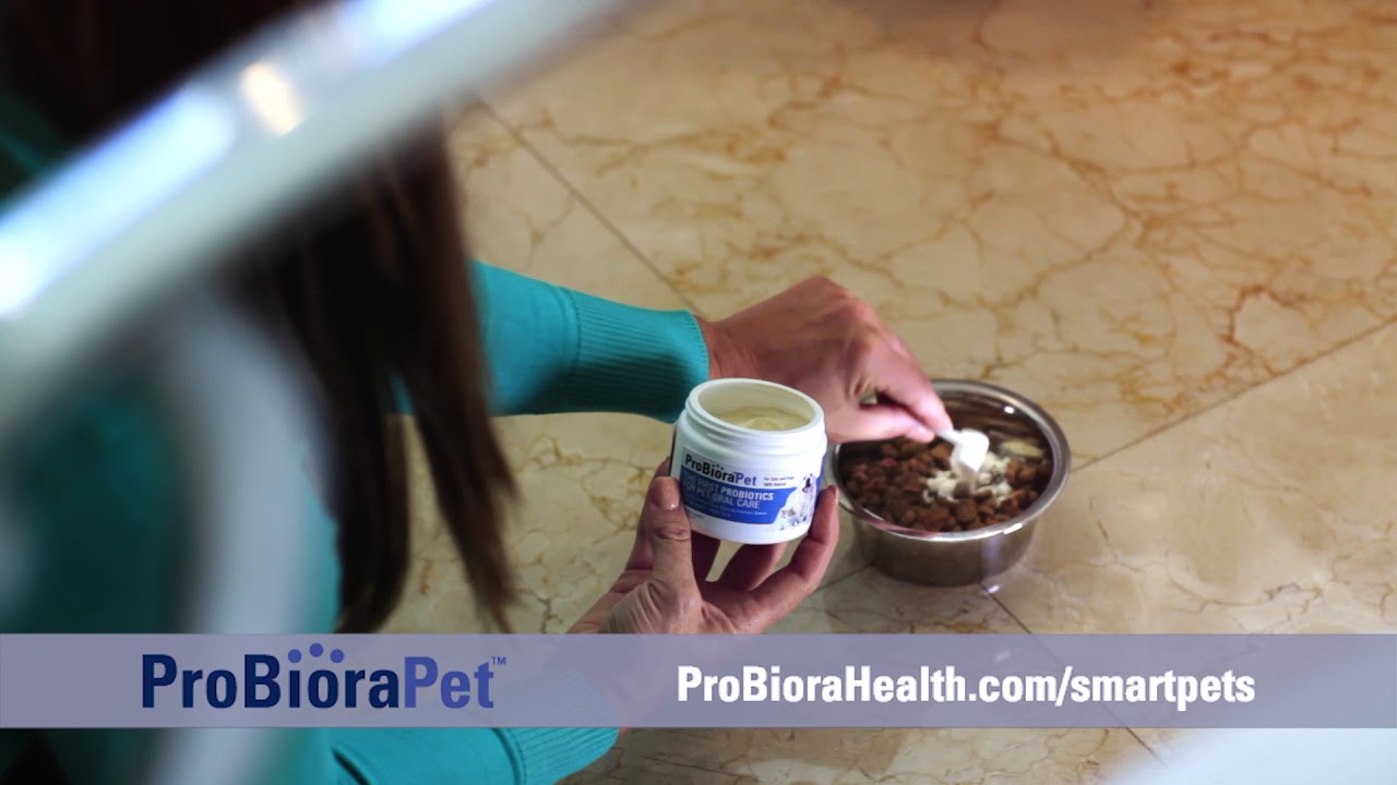 ProBiora Health – Smart Pets, Healthy Dog - YouTube