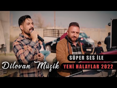 DİLOVAN MÜZİK - MI DI GO WELLE NABE / SÜPER HALAY