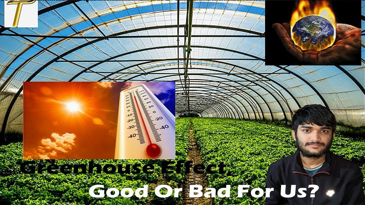 Greenhouse Effect, Good Or Bad For Us? How Could We Save Planet From ...