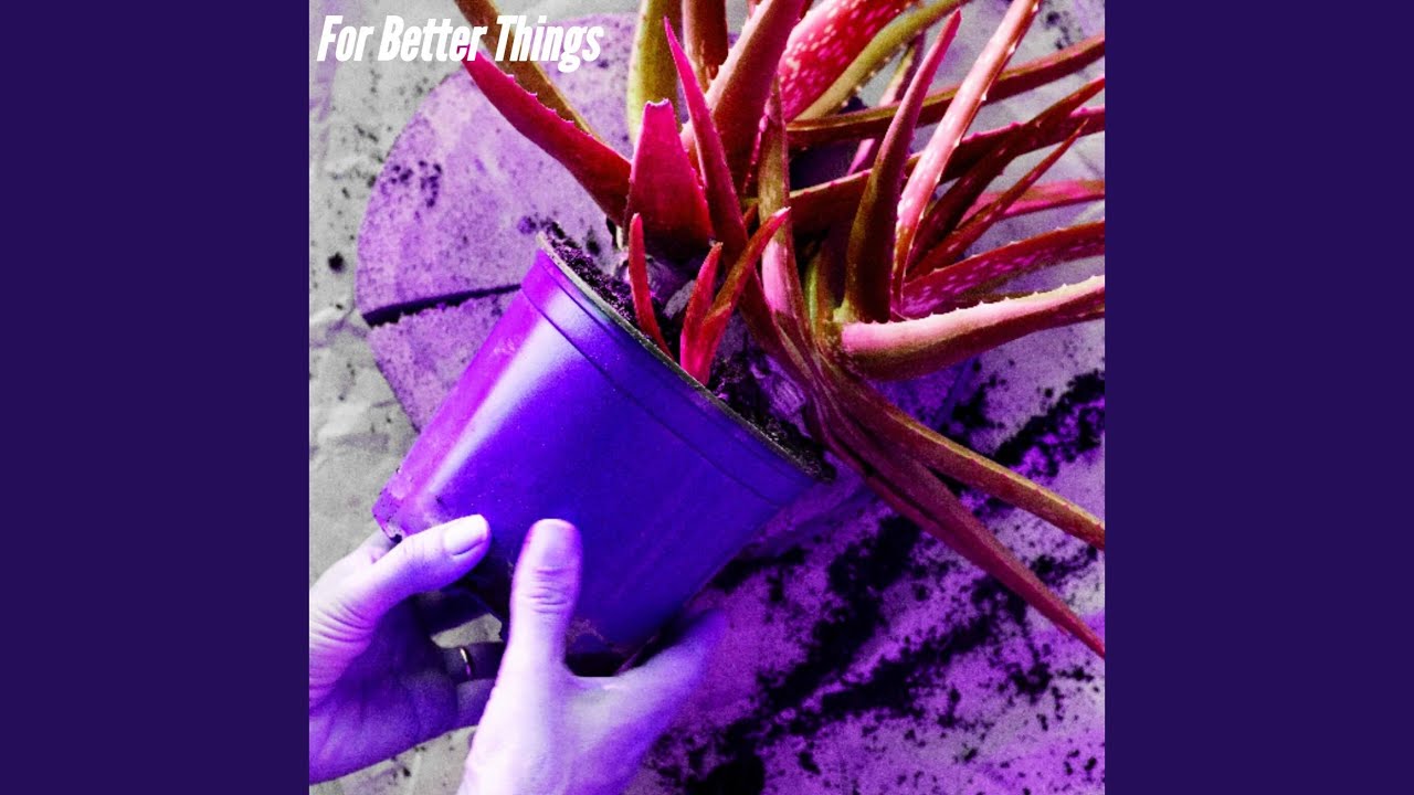 Fashionable Ambience for Golden Together - YouTube