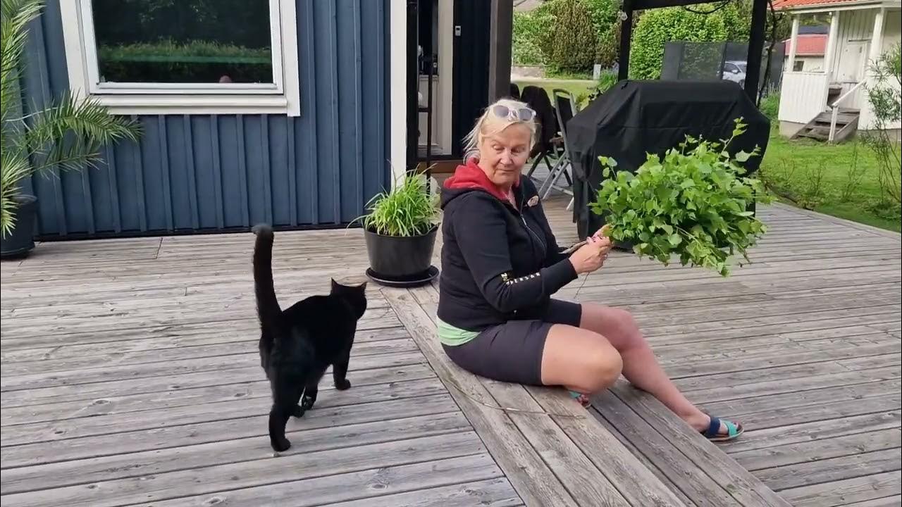 Sauna med björkris. Jag får stryk i bastun!!! - YouTube