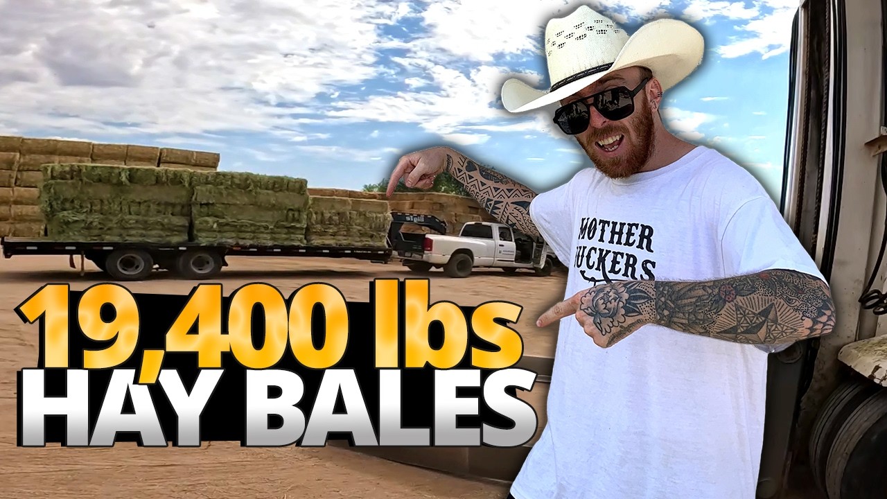 19,400lb Hay Haul GONE WRONG! Cummins Transmission FAIL 194 Hay Bales ...