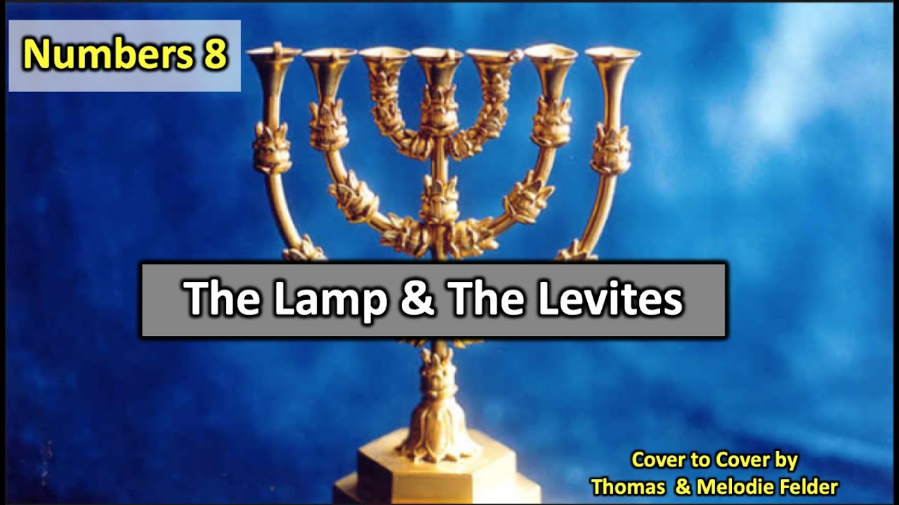 Numbers 8 -- The Lamp & The Levites -- #Cover2Cover LIVE Bible Study ...