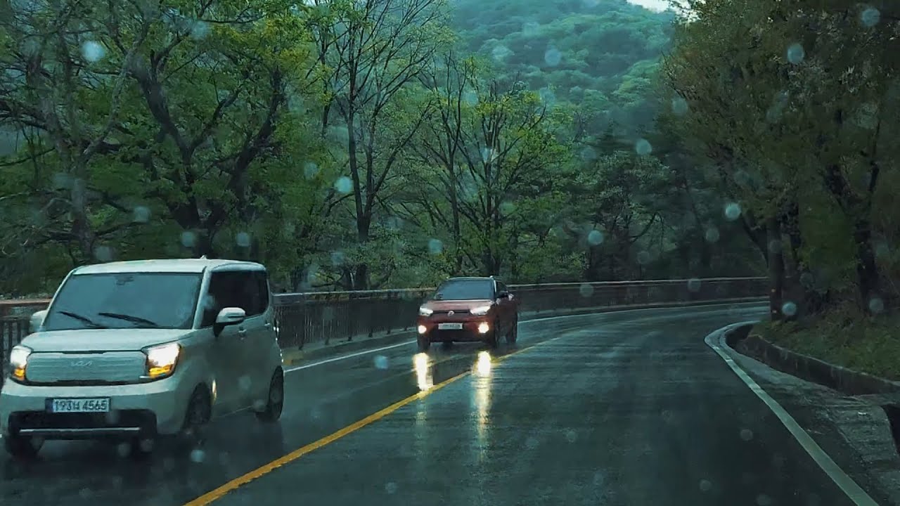 💧[4K] peaceful rainy drive on local forest road for sleep, study ...