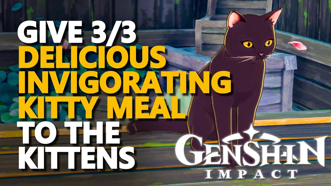 Give the Delicious Invigorating Kitty Meal to the kittens Genshin Impact 3/3 - YouTube