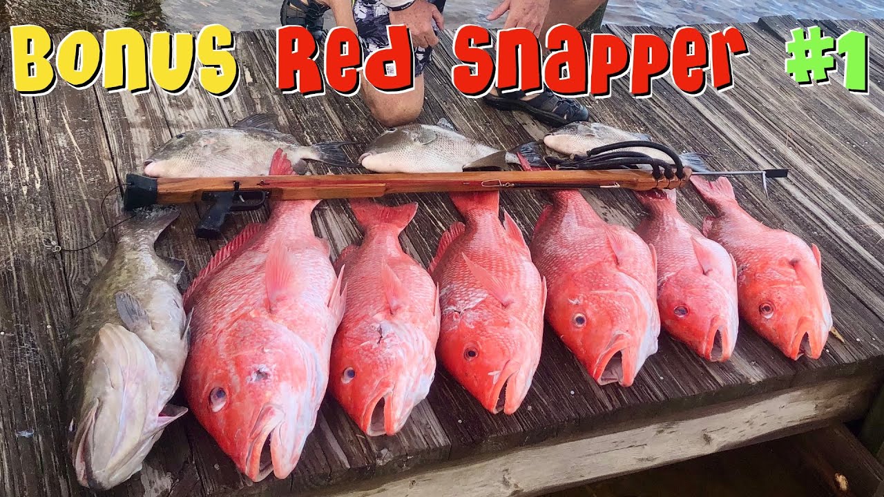 Bonus Red Snapper Spearfishing Trip #1 - Destin / Fort Walton Beach, FL ...