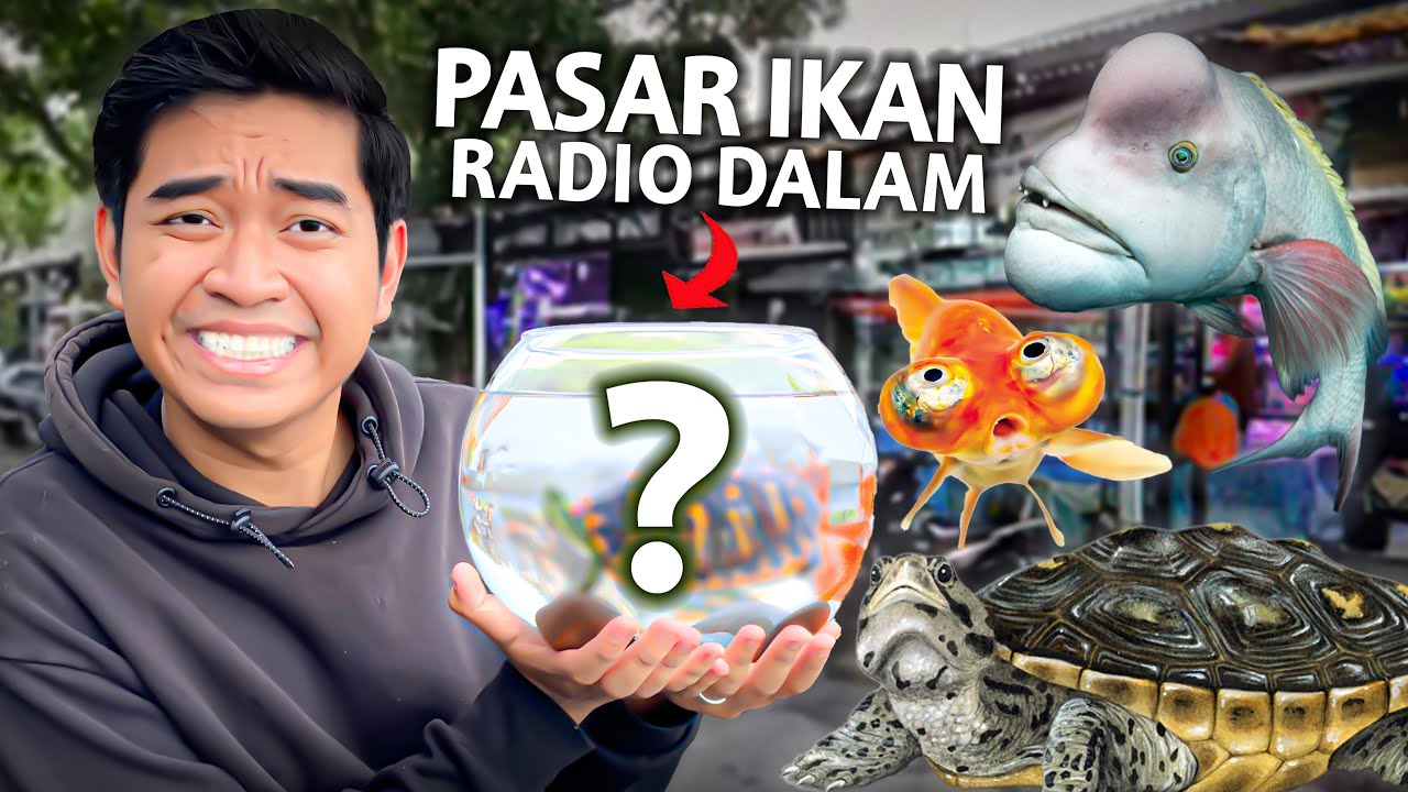 BELI HEWAN BARU DI PASAR IKAN RADIO DALAMM JAKARTA BUAT DI KOLAM ...
