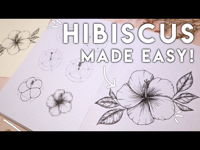 How To Draw Hawaiian Flowers Step By Step Flowers Pop How To Draw