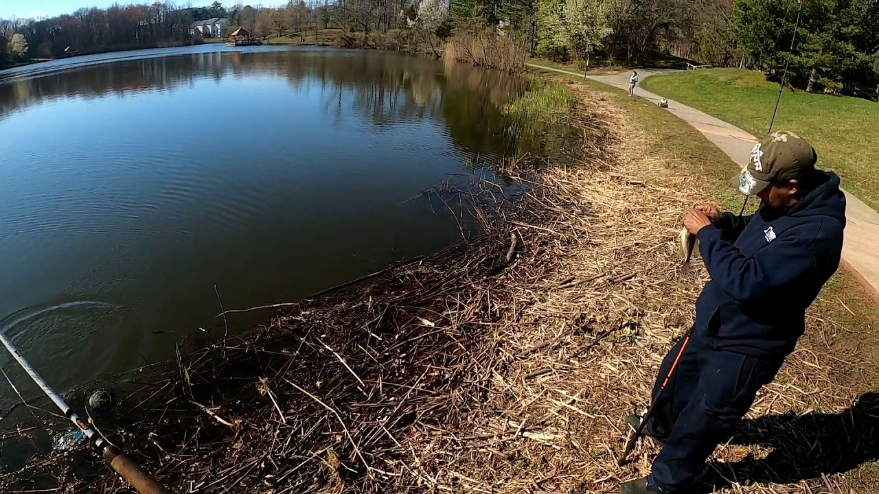 CRAPPIE FISHING PONDS IN MARYLAND 3-26-2020 DUCKING THE QUARANTINE ...