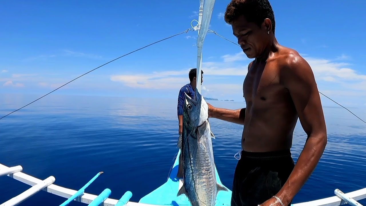 HUNTING BIG TANIGUE | JACKPOT | CATCH AND SELL - YouTube