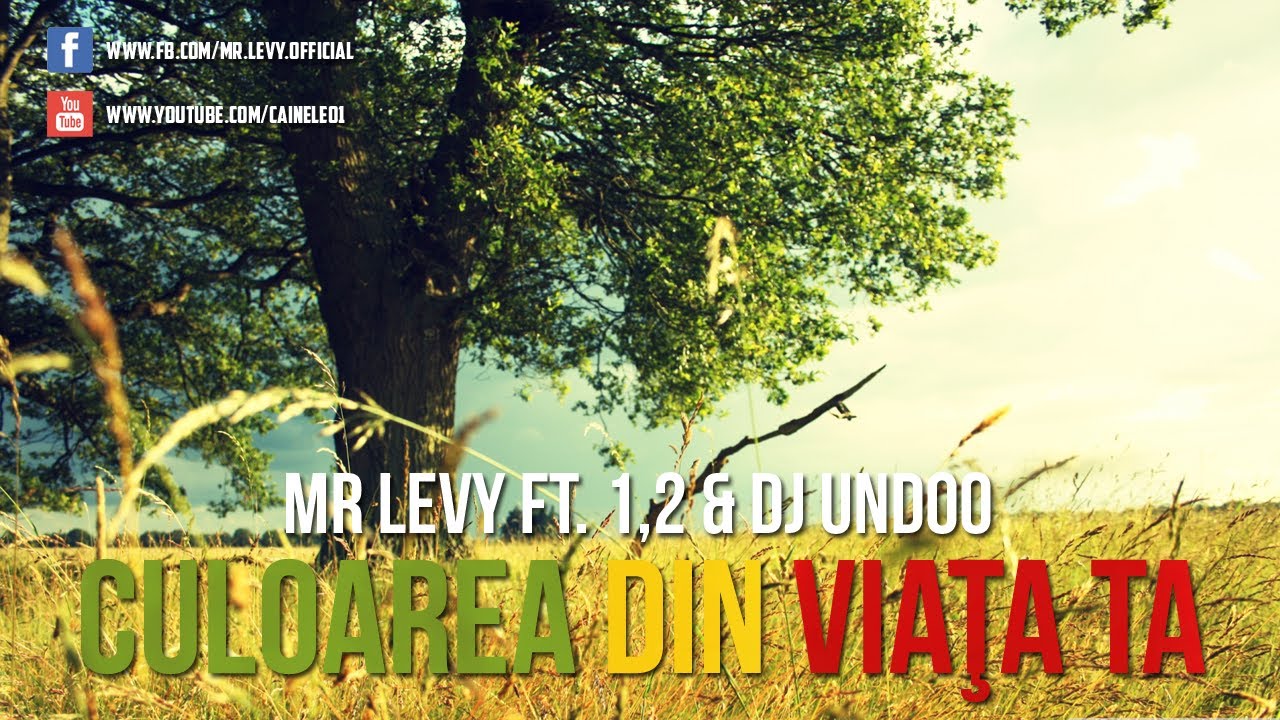 Mr.Levy - Culoarea din viata ta ( feat. 1,2 & Dj Undoo ) - YouTube