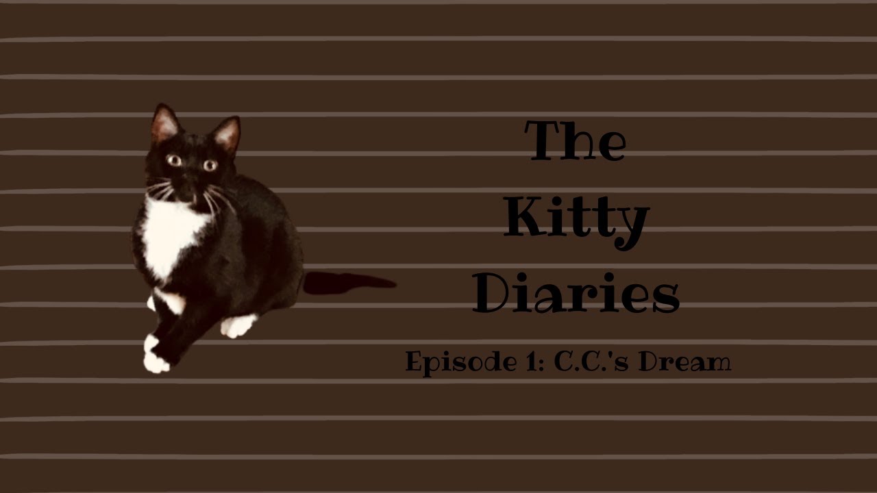 Episode 1: C.C.'s Dream | The Kitty Diaries - YouTube