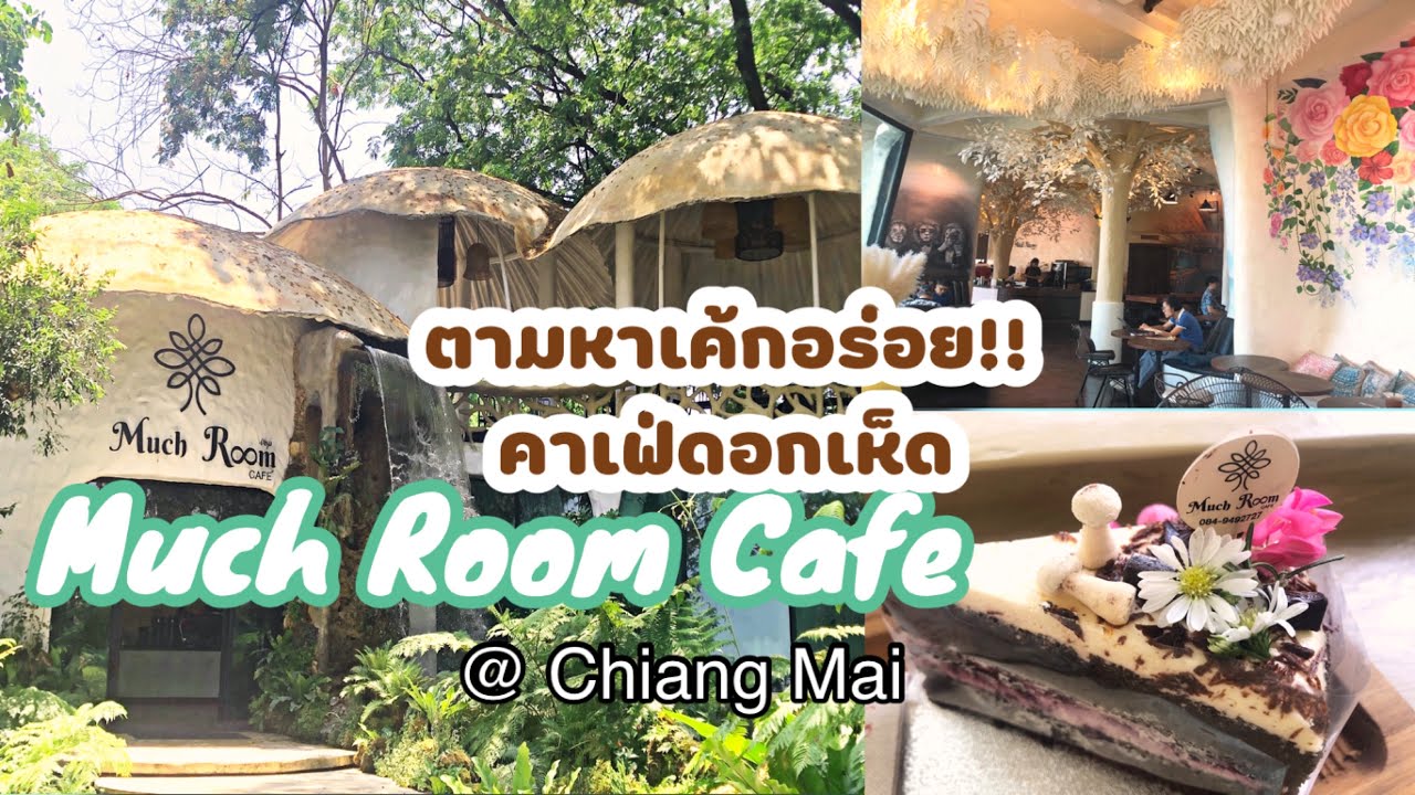 Much Room Cafe |ร้านกาแฟบรรยากาศดี |เชียงใหม่ - YouTube