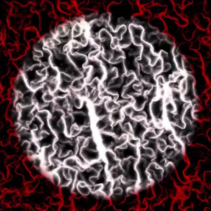 Compute Shader based on Physarum transport networks - YouTube