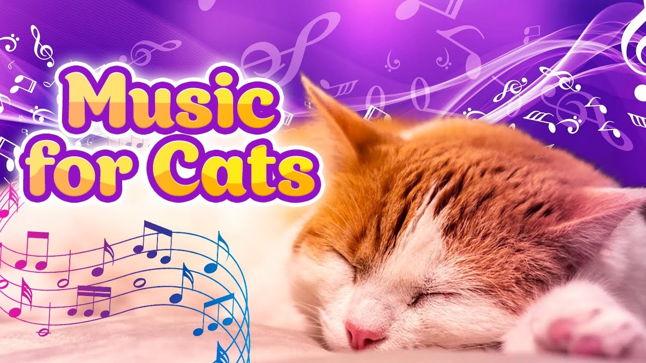 Music to Relax Cats 🐱 Peaceful Harp Music for Cats with Anxiety ...