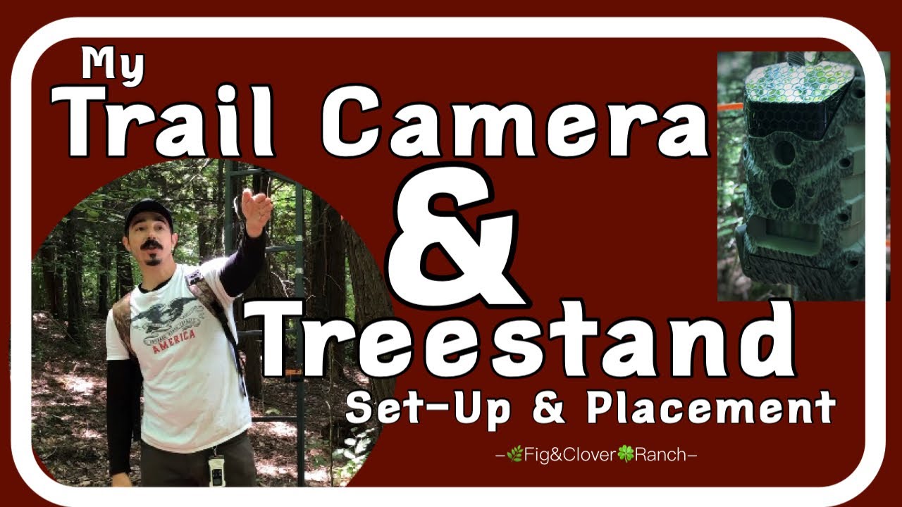 Trail Camera & Tree Stand Setup For Deer Hunting - YouTube