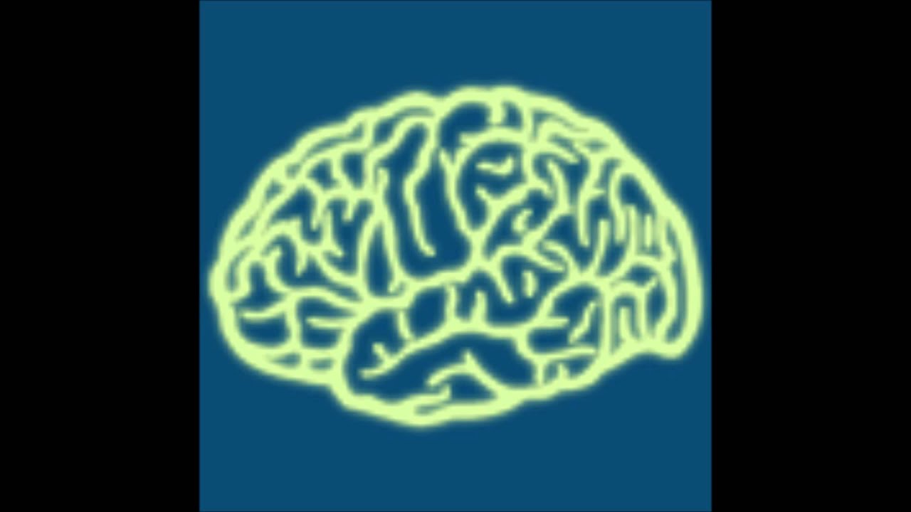 "Al's Amazing Animals" -Skit #3 - YouTube