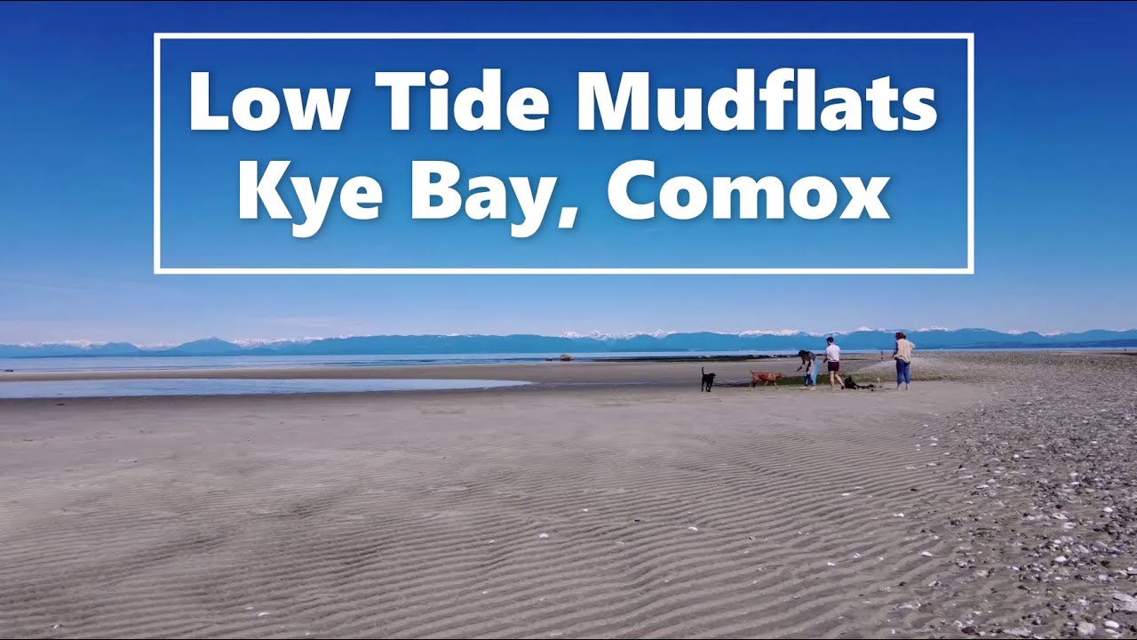 Vancouver Island Waterfront Walks: Low Tide Mudflats, Kye Bay, Comox ...