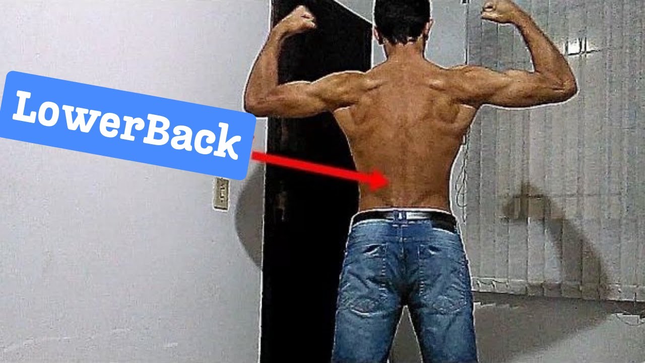 Intermediate and Beginner Lower Back Workout - Calisthenics - YouTube