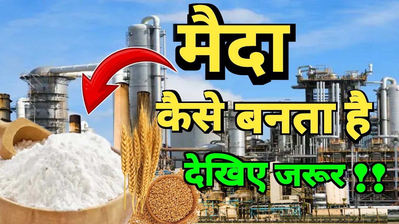 देखिए फैक्ट्री में मैदा कैसे बनता है||Maida making process|how to make ...