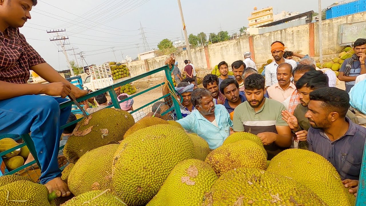 Red Jackfruits live auction at Chelur Market - YouTube