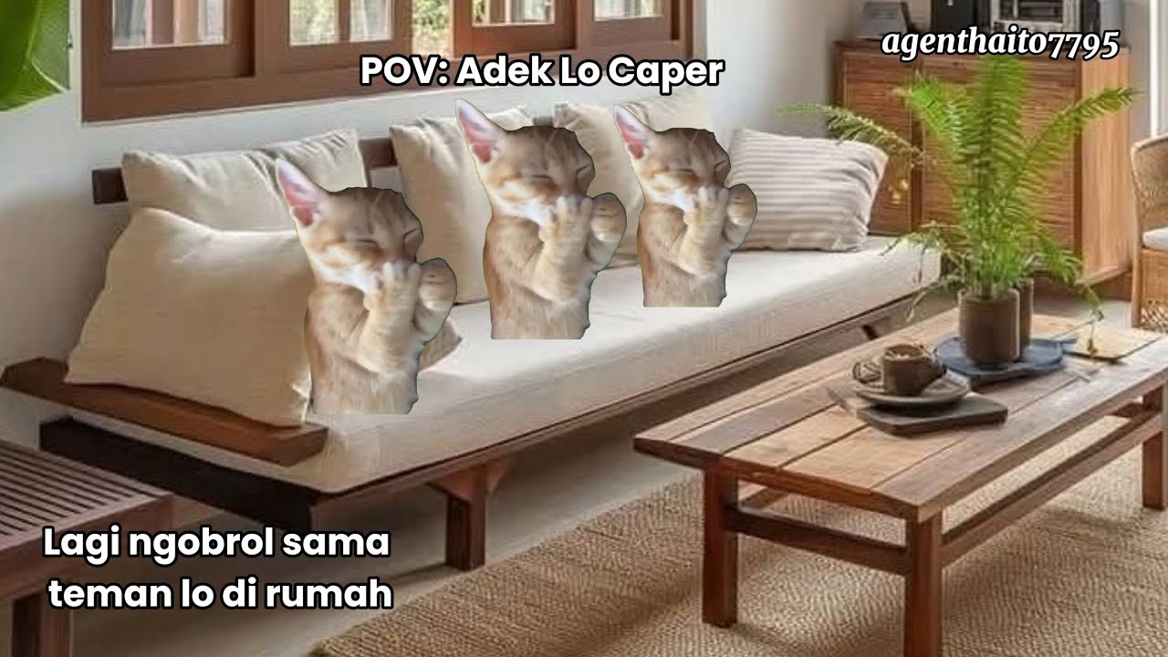 POV: Adek Lo Caper | meme kucing #cat #meme - YouTube