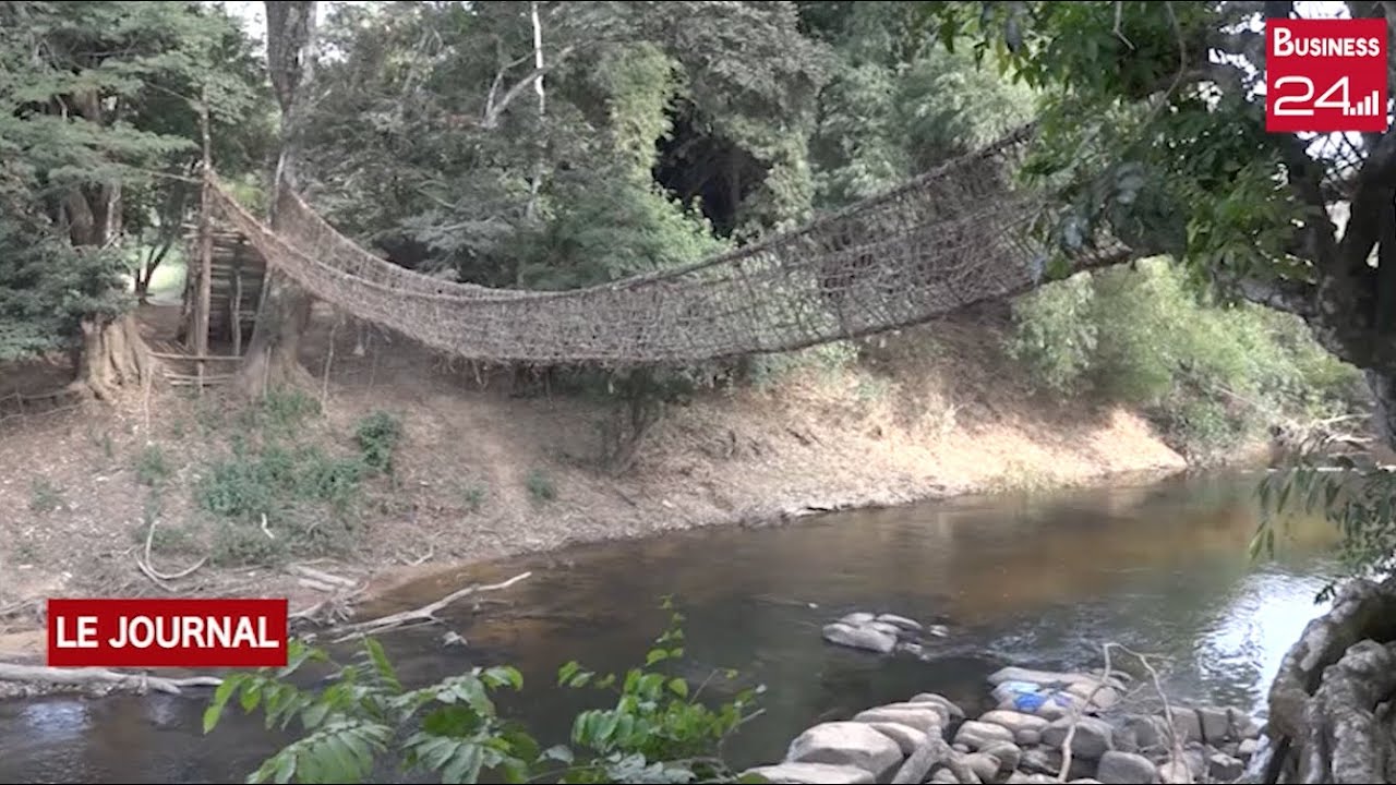 DANANE: Inauguration du pont de lianes du village VATOUO - YouTube