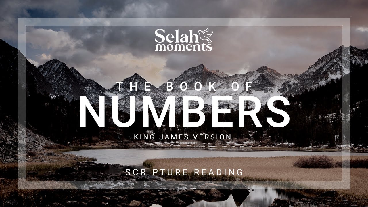 The Book of Numbers | KJV Audio Bible #selahmoments #audiobible #KJV ...
