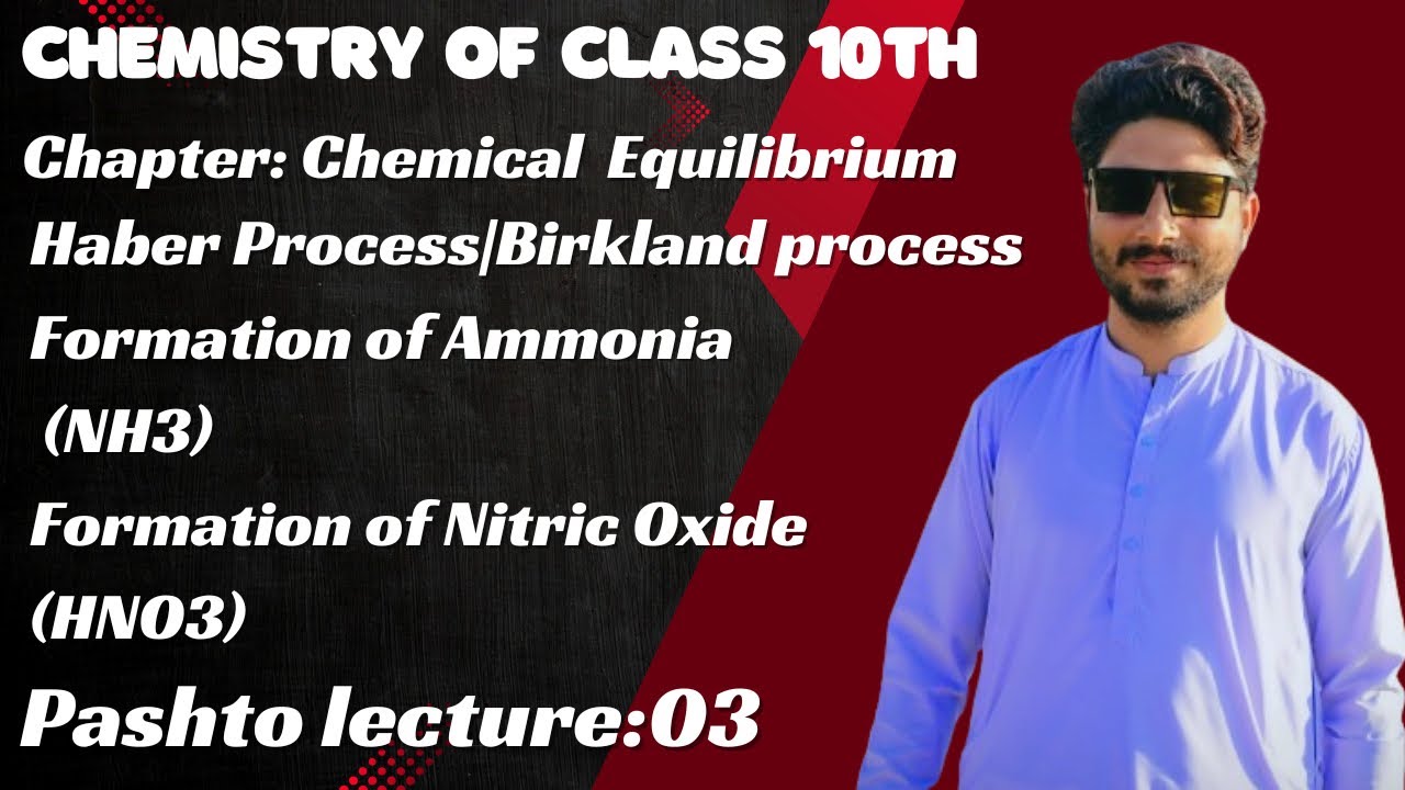 Matric Class Chemistry|| Haber and birkeland process|Most important ...