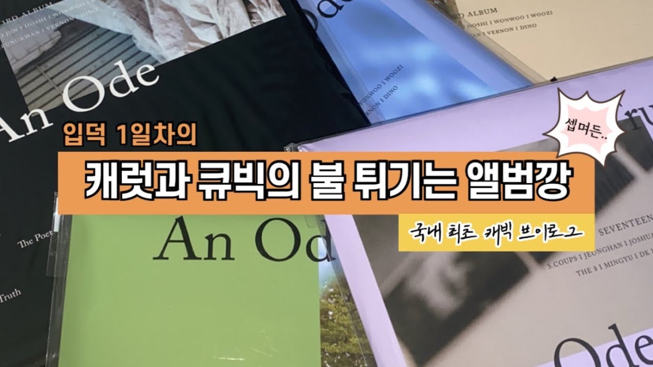 Ep1 캐럿이와 큐빅이의 캐럿 브이로그 큐빅 브이로그 캐빅 브이로그 캐럿 1일차의 삶은 어떨까 1탄 언오드