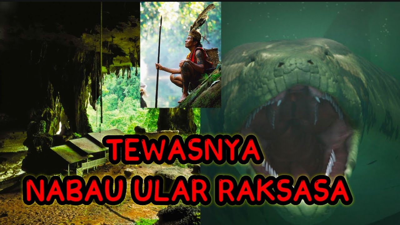 LEGENDA GUA NIAH MIRI DAN ULAR RAKSASA (ULAR NABAU) - YouTube