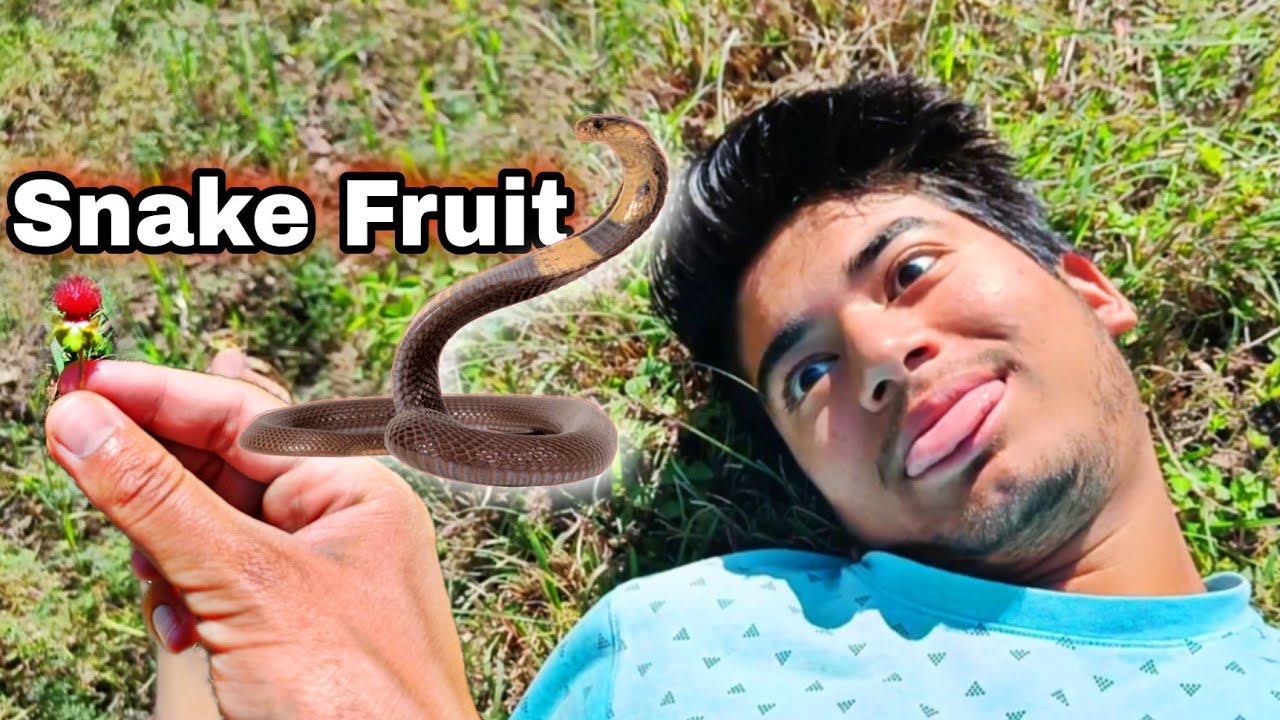 Oohhh Noo 🤢 मैंने गलती से जहर खा लिया !! SNAKE Fruit 🐍🍑 !! Pahadi ...