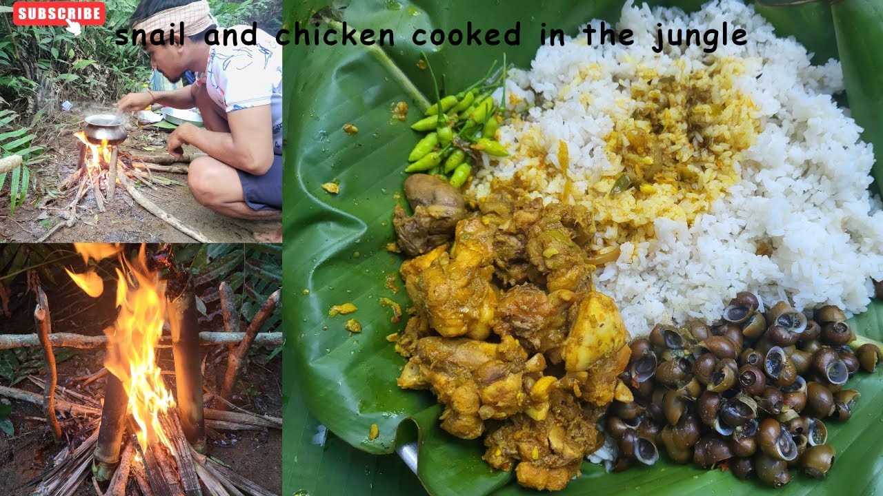 snail eating and chicken recipe cooked in Bamboo| cooked and eat - YouTube