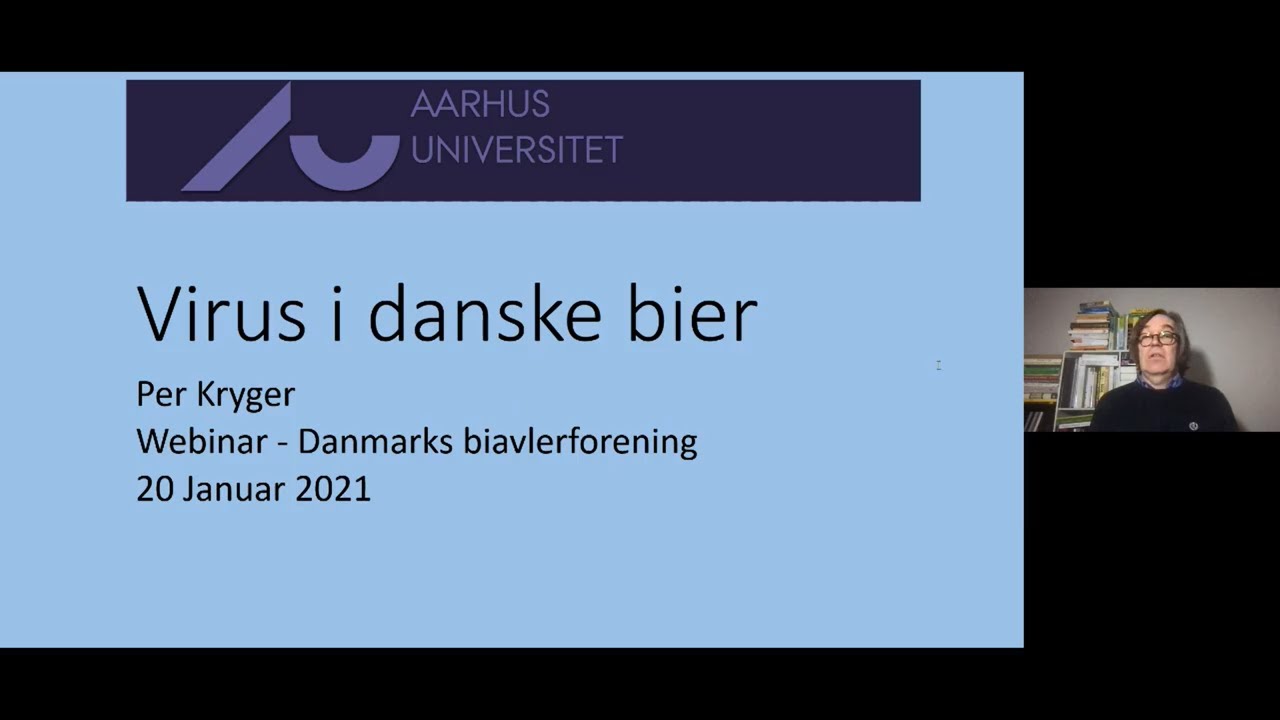 Virus i danske bier Per Kryger - YouTube