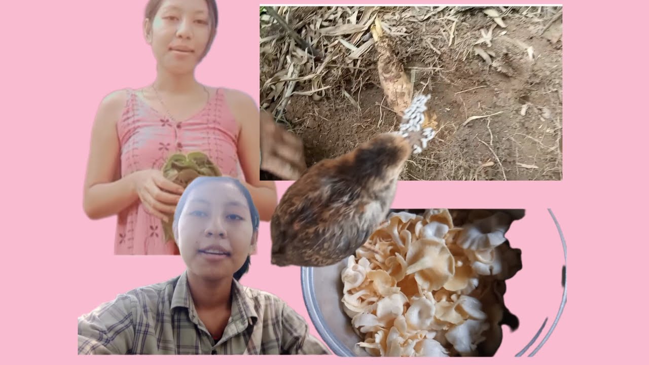 tini ag muya phai mni 😊😊||jimika debbarma||new vlog - YouTube