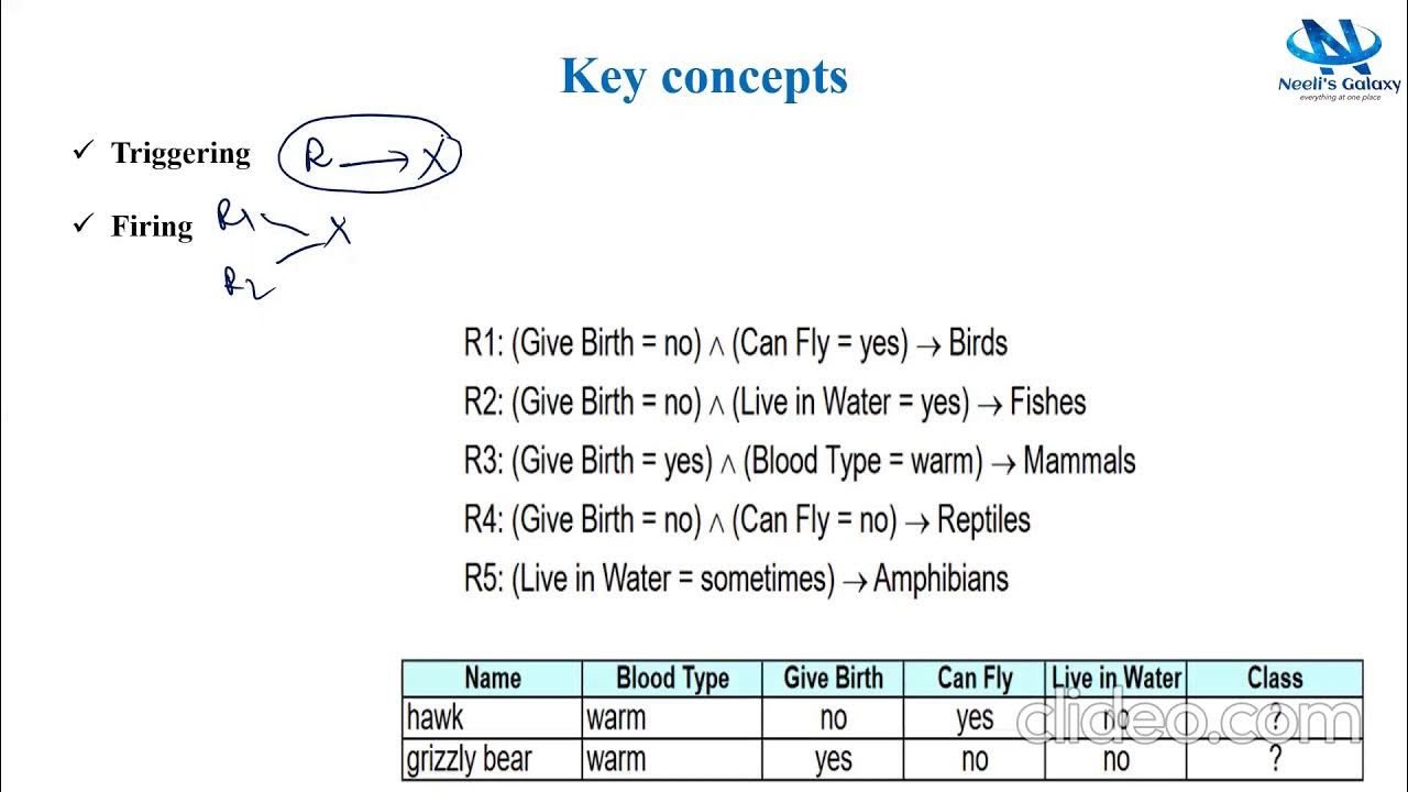 Rule Based Classifier || By Neeli's Galaxy - YouTube