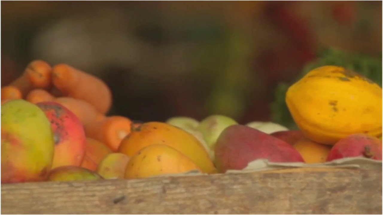 Fruits And Vegetables Stock Footage | Free No Copyright 4K Stock ...
