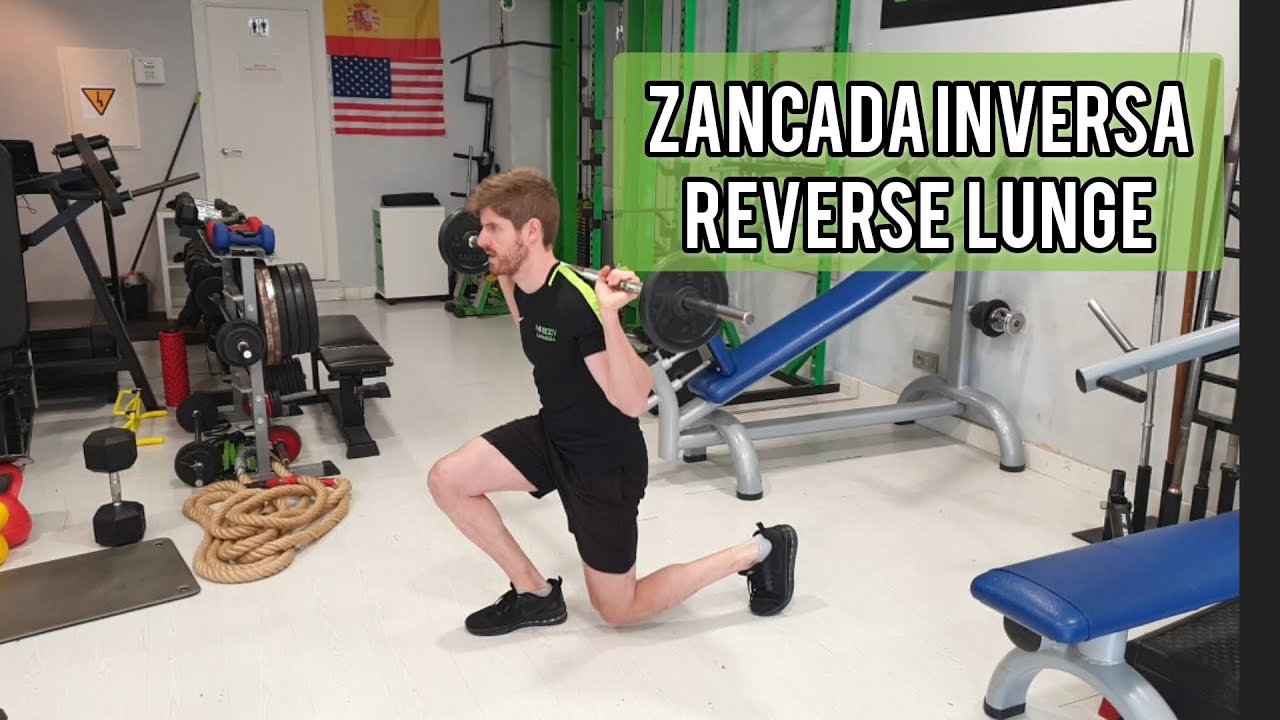 Zancada Inversa / Reverse Lunge - YouTube