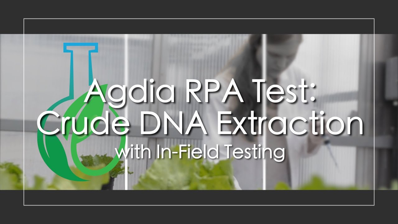 Crude DNA Extraction w/ In-Field Testing - YouTube