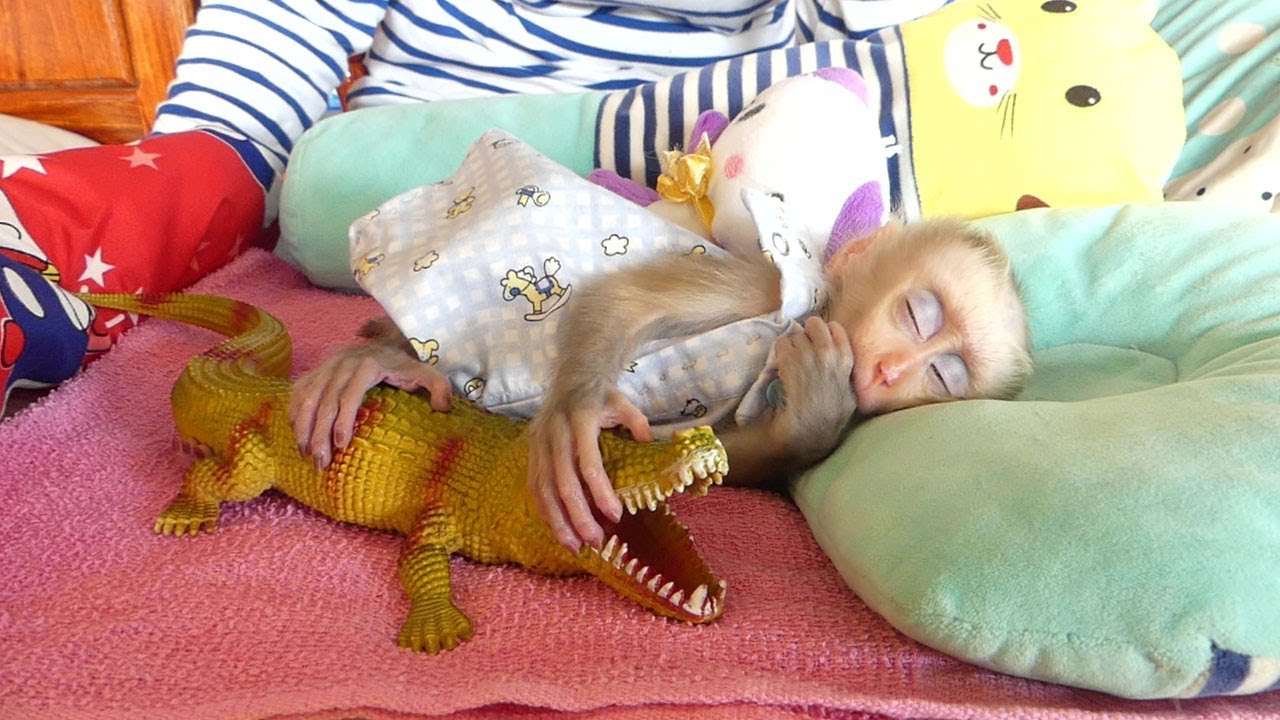 Most Peaceful Sleep!! Small Baby Girl Elan So Sweet Soundly Asleep Well ...