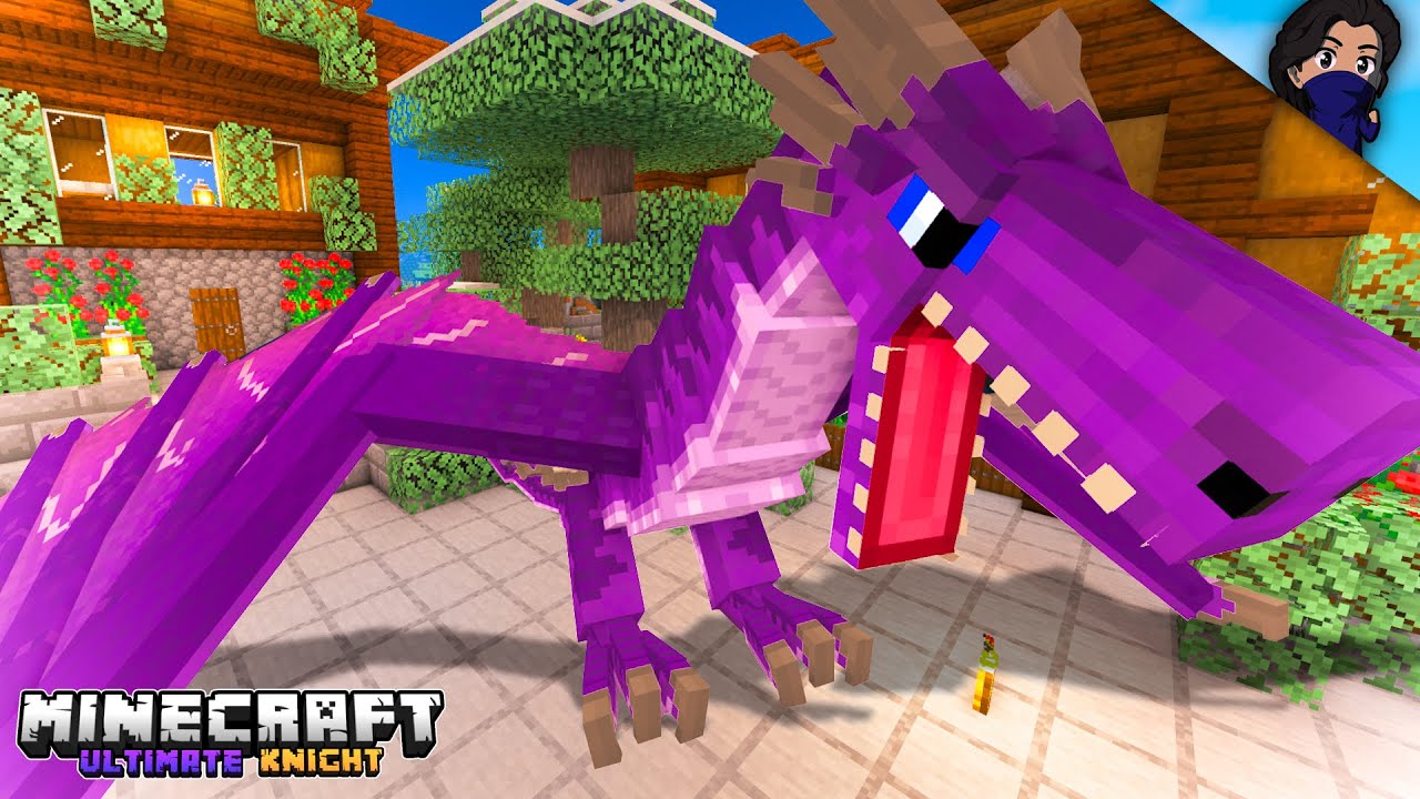 Minecraft Dragon The Knight