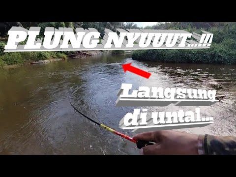 Casting ikan HAMPALA di sungai kiu, menggunakan umpan Relix Nusantara.
