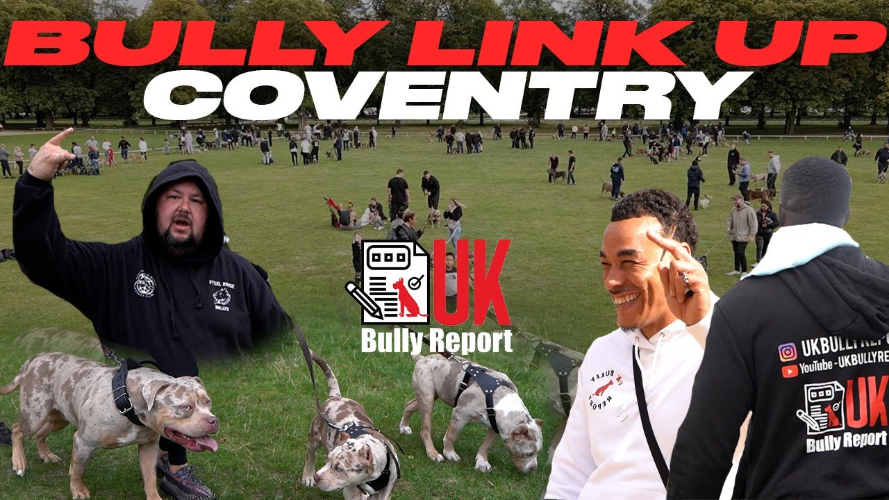 UK BULLY REPORT 'London to Coventry' Linkup #2 (Part 1) - YouTube