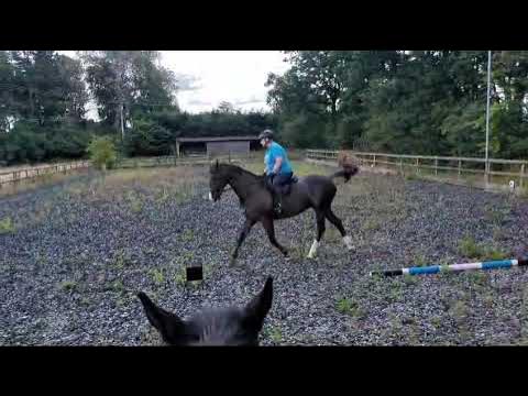 Prelim 2c July 2024 - YouTube