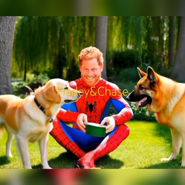 Prince Harry #dogs #PrinceHarry #Harry #RoyalFamily #meghanmarkle # ...