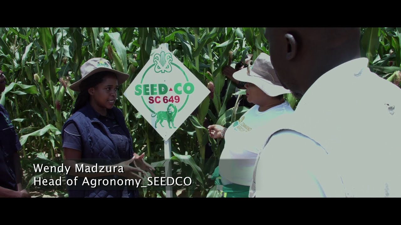 Wendy Madzura [Head of Agronomy Seed Co] Smart Agronomics - YouTube