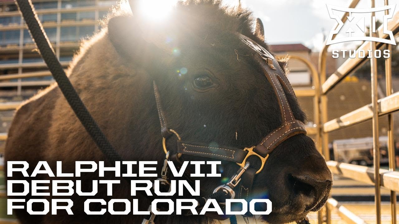 Ralphie VII's Debut Run | Colorado Football - YouTube