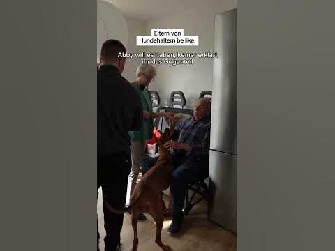 POV Deine Eltern sind zu Besuch und du hast einen Hund - YouTube