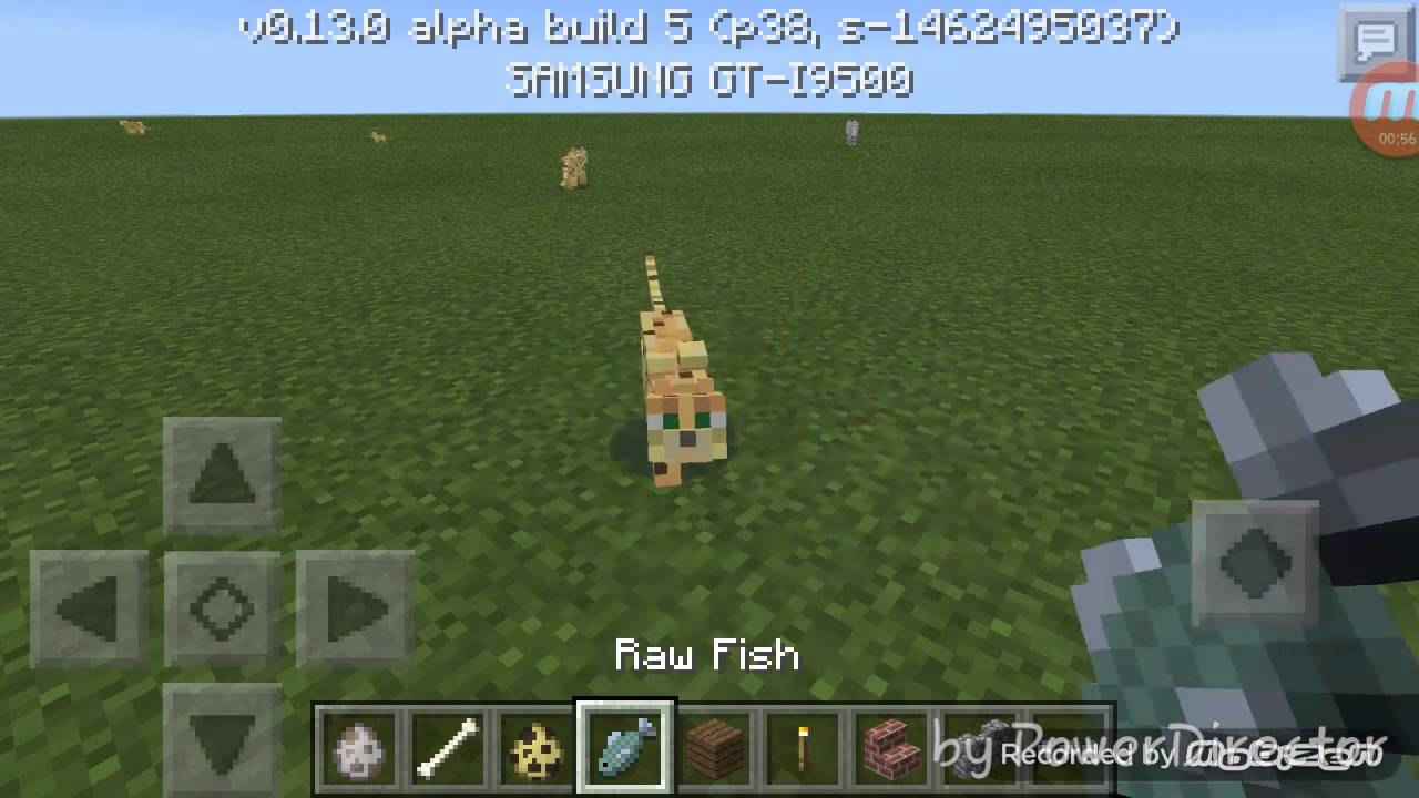 Minecraft PE- how to spawn a cat and dog - YouTube
